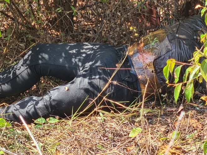 Corpo De Um Homem é Encontrado Em Estado Avançado De Decomposição E Com
